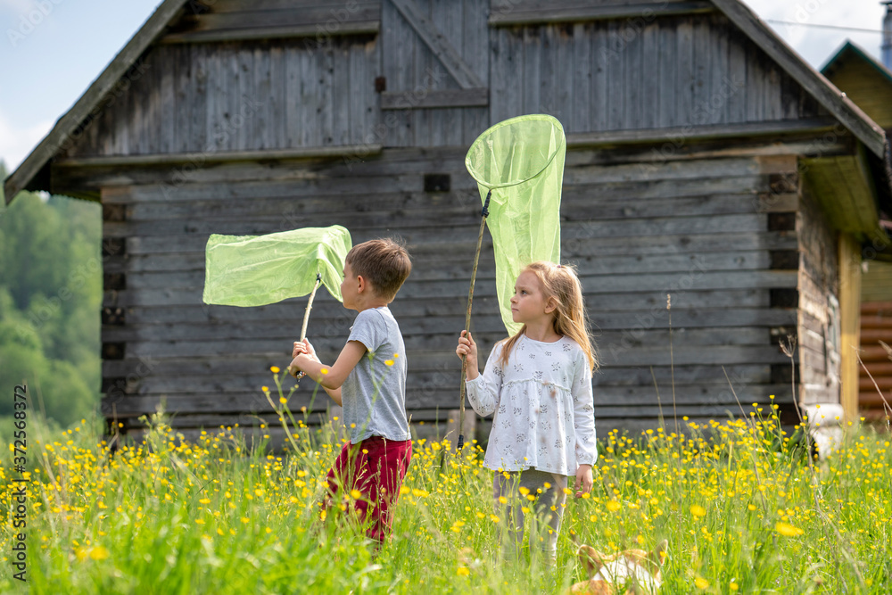 Friends catching butterflies with nets while standing amidst plants ...