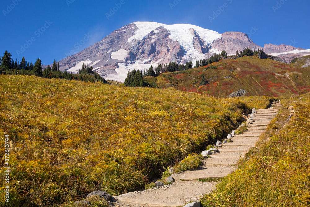 One of many hiking trails surrounded by stunning fall foliage at Mt ...