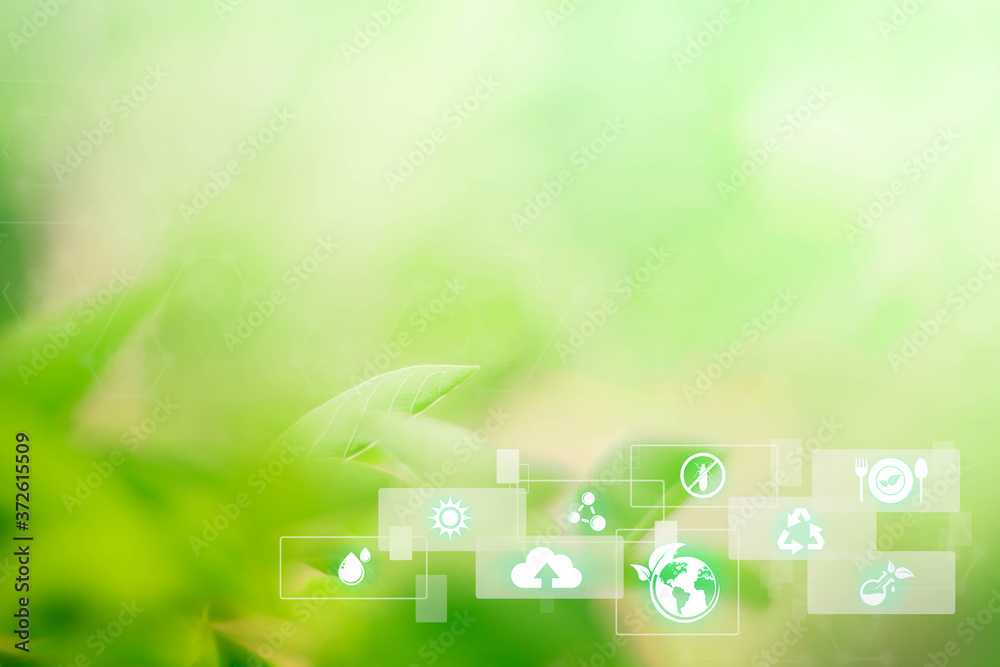 Blurred greenery background in the forest with copy space, Sustainable ...