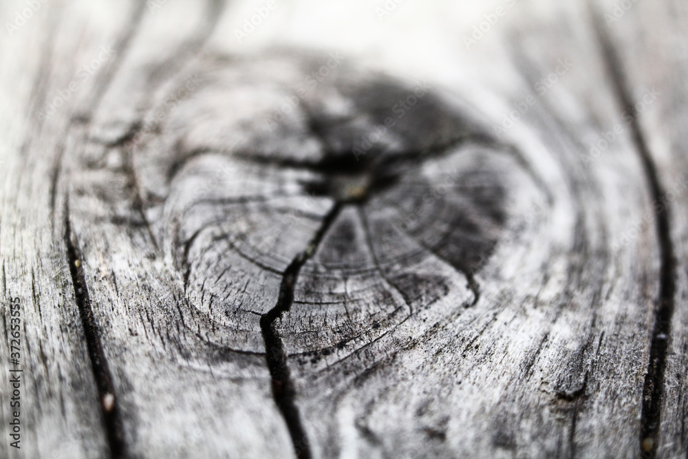 Old textured wood planks bitch closeup with Background natural patterns ...