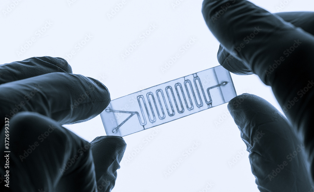 Organ on chip OOC and lab on chip LOC - microfluidic device chip that ...