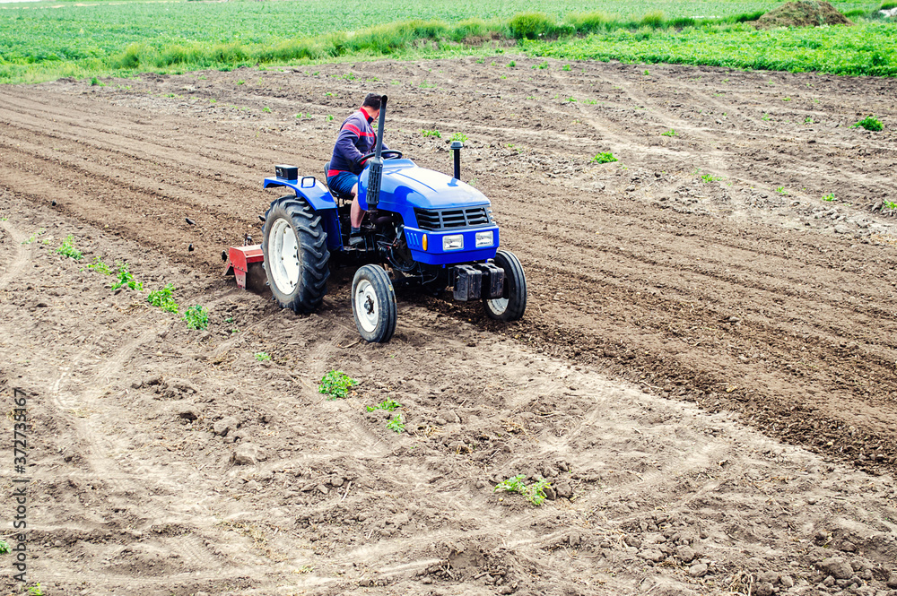 Farmer on a tractor loosens soil with milling machine. Plowing field ...