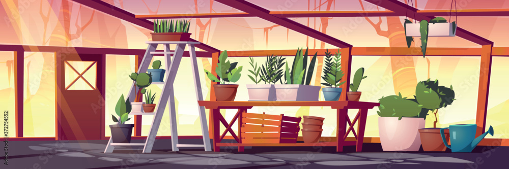 Glass greenhouse with plants, trees and flowers. Vector cartoon ...