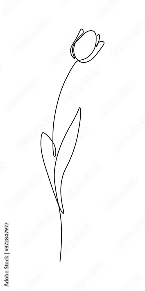 Tulip flower in continuous line art drawing style. Minimalist black ...