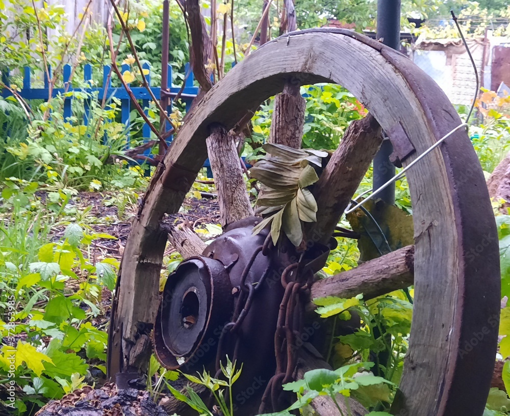 wheel, old, wood, wagon, antique, wooden, cart, metal, garden, flower ...