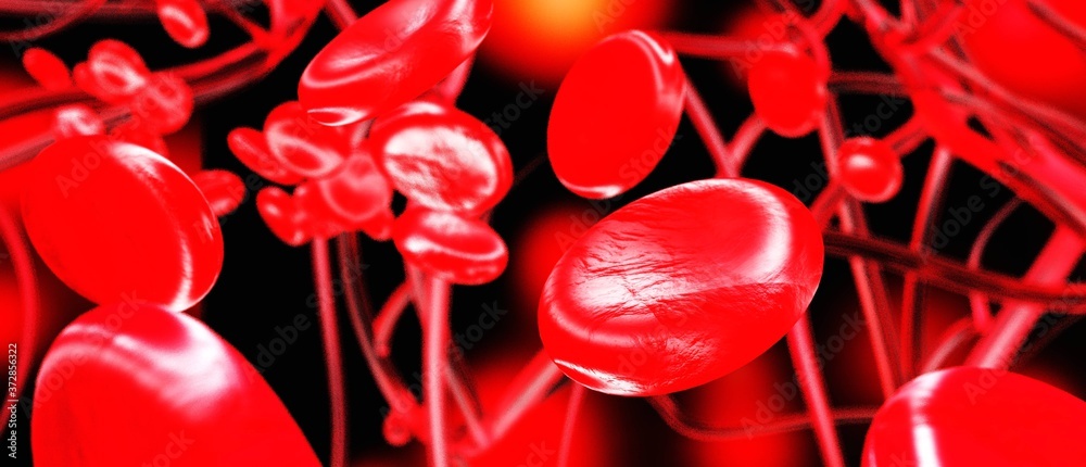 Red blood cells, red blood corpuscles, haematids, erythroid cells or ...