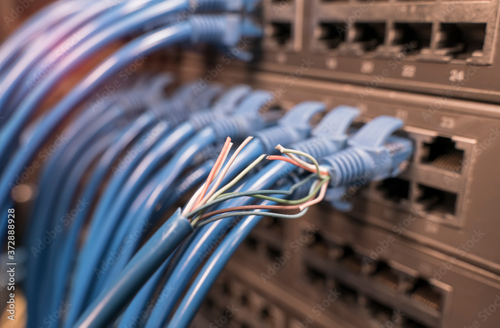 damaged stranded network cable is located on the background of the ...