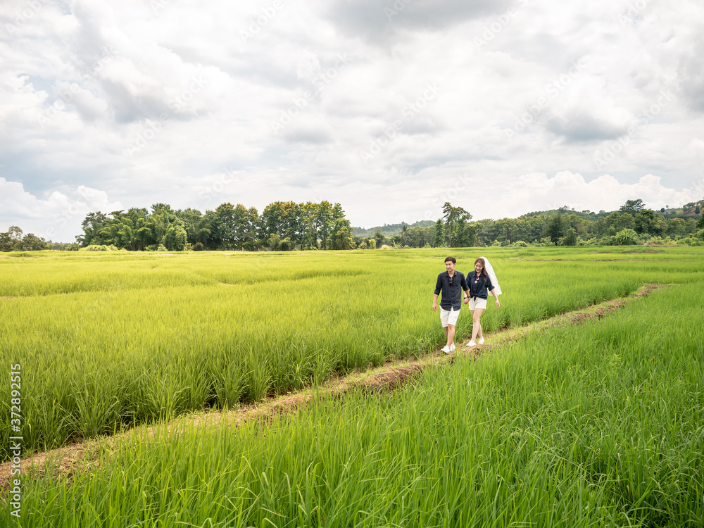 Aerial view of asian lover walking on rice field ridge. People taking ...