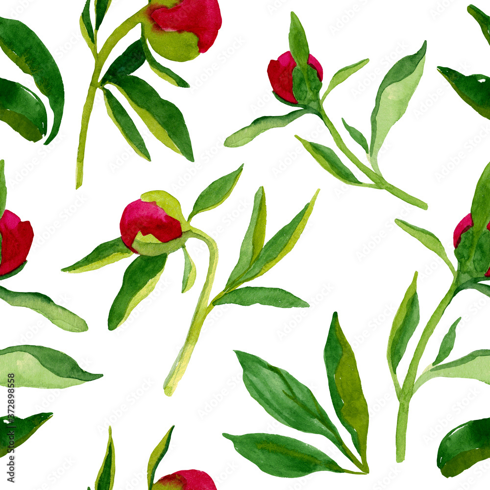 Seamless pattern with peon buds. Watercolor hand drawn pink peonies ...