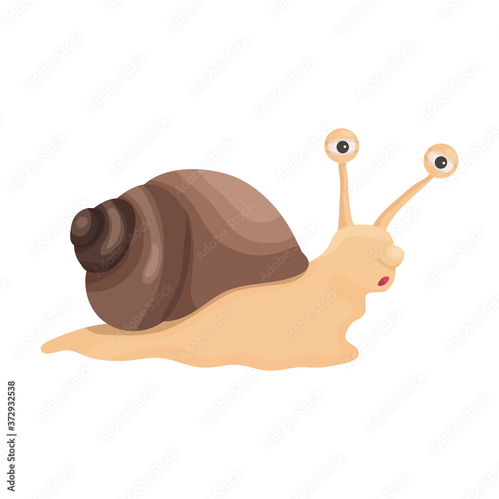 Vector illustration of a snail with a brown shell in a cartoon style ...
