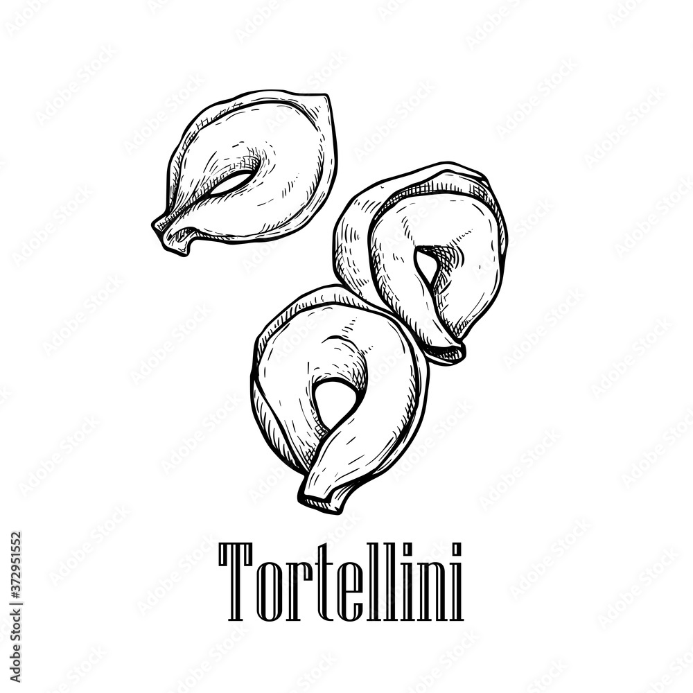 Italian pasta tortellini. Hand drawn sketch style illustration of ...