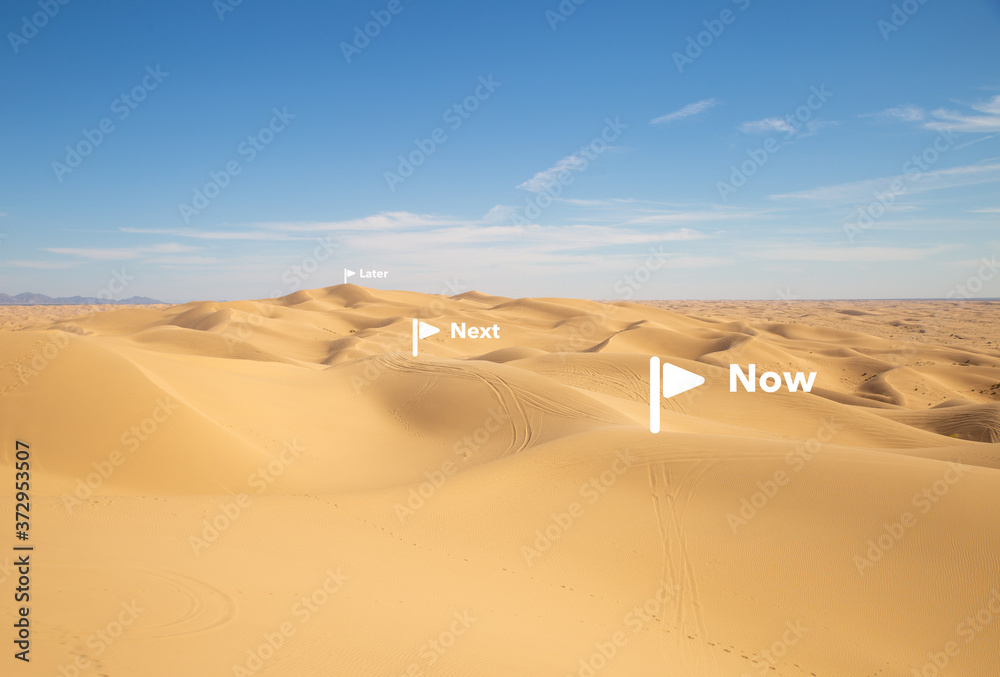 Product vision roadmap concept. Now, next, later product management ...