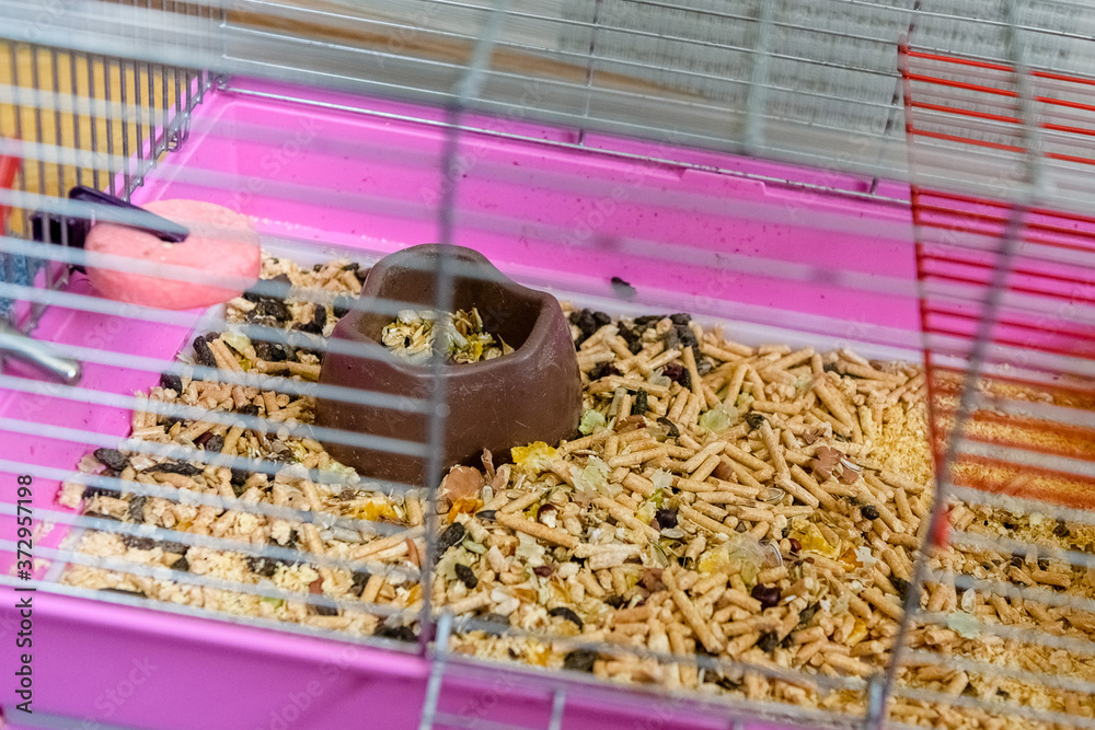 An empty cage for a pet rodent. The cage is dirty, there is a lot of ...
