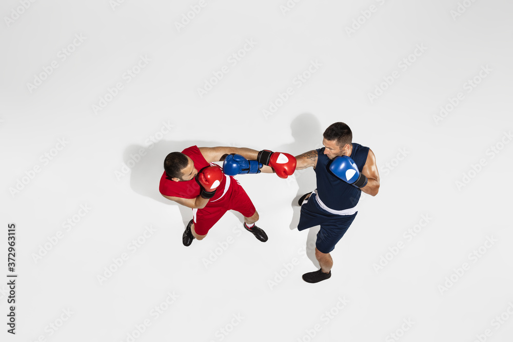 Two professional boxers boxing isolated on white studio background ...