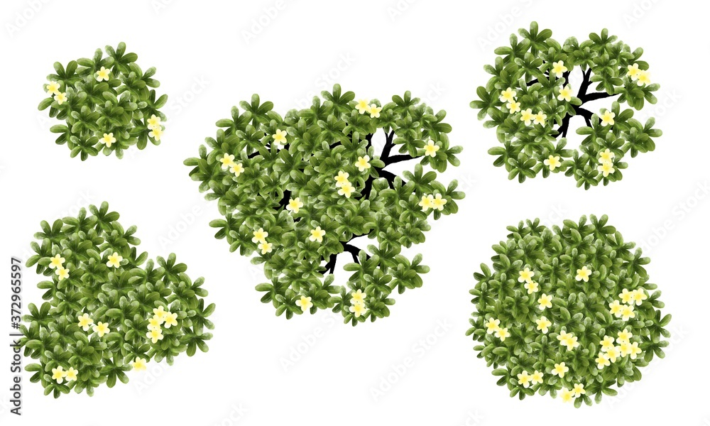 Set of watercolor tree top view for landscape plan and architecture ...