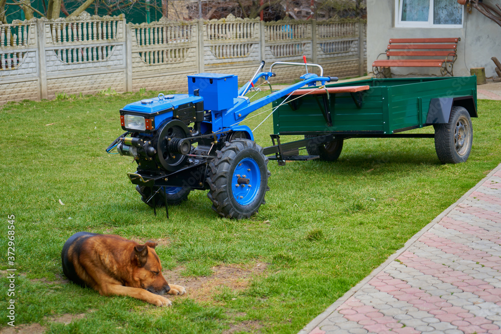 dog sleeping near a walking tractor,German shepherd dog sleeping in a ...