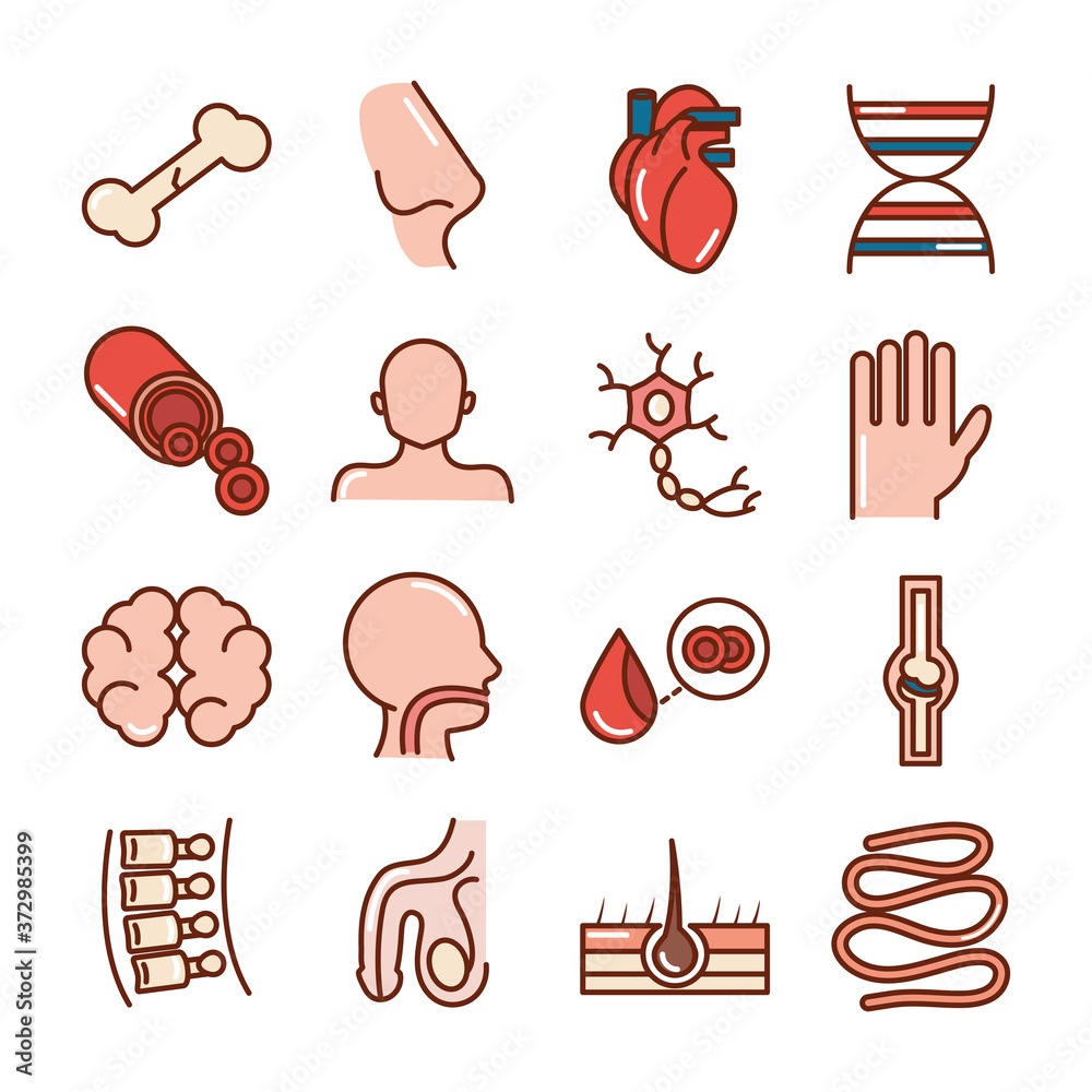 human body anatomy organs health bone nose heart dna brain hand blood ...