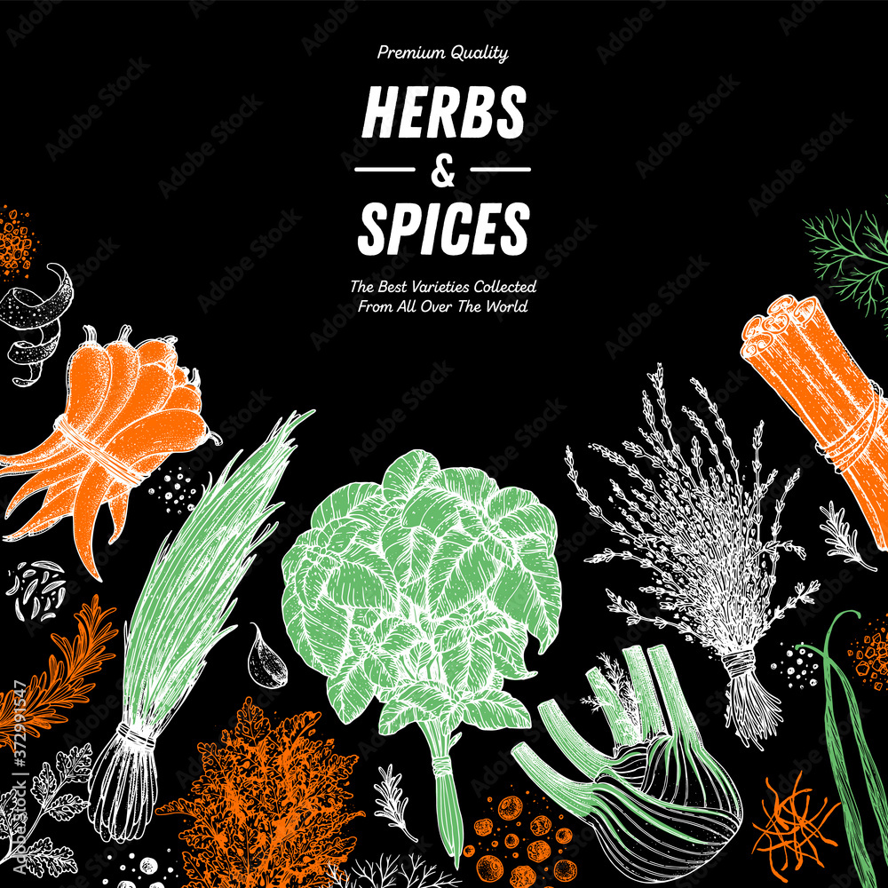 Herbs and spices hand drawn vector illustration. Aromatic plants. Hand ...