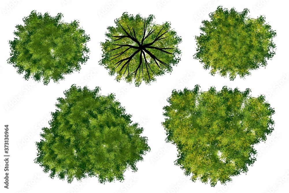 set of green grass,set of watercolor trees top view for landscape plan and architecture layout ...