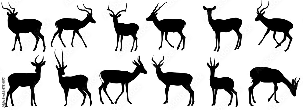 set of antelope, gazelle shadow flat design vector illustration. Hand ...