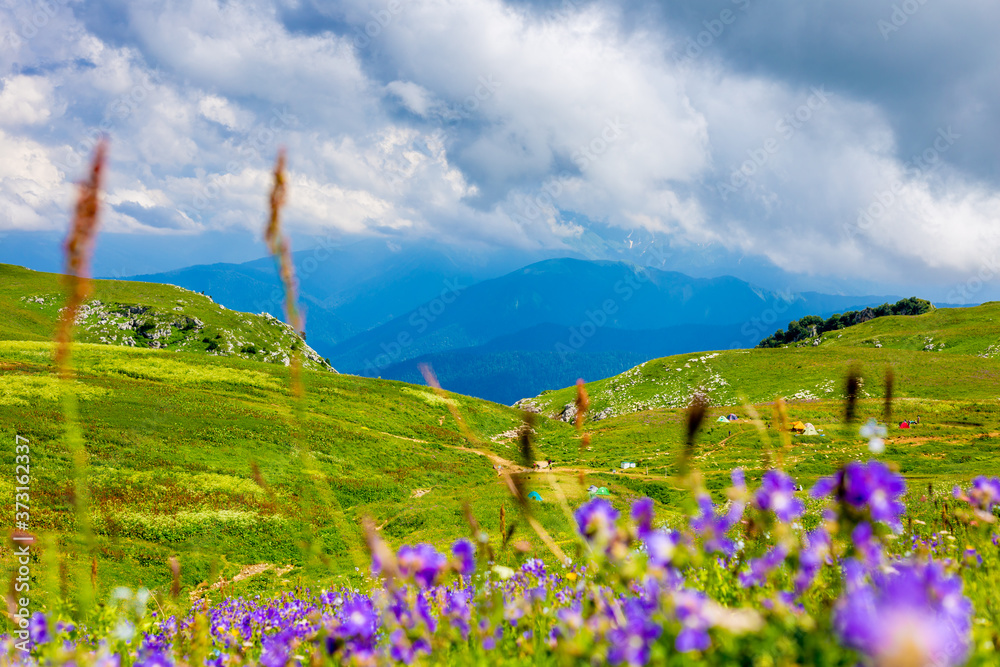 Beautiful green mountain landscape with flowers in Lago-Naki. Local ...