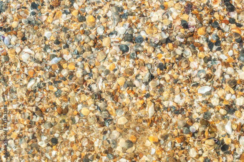 Small seashells under sea water. Natural background. Stock Photo ...