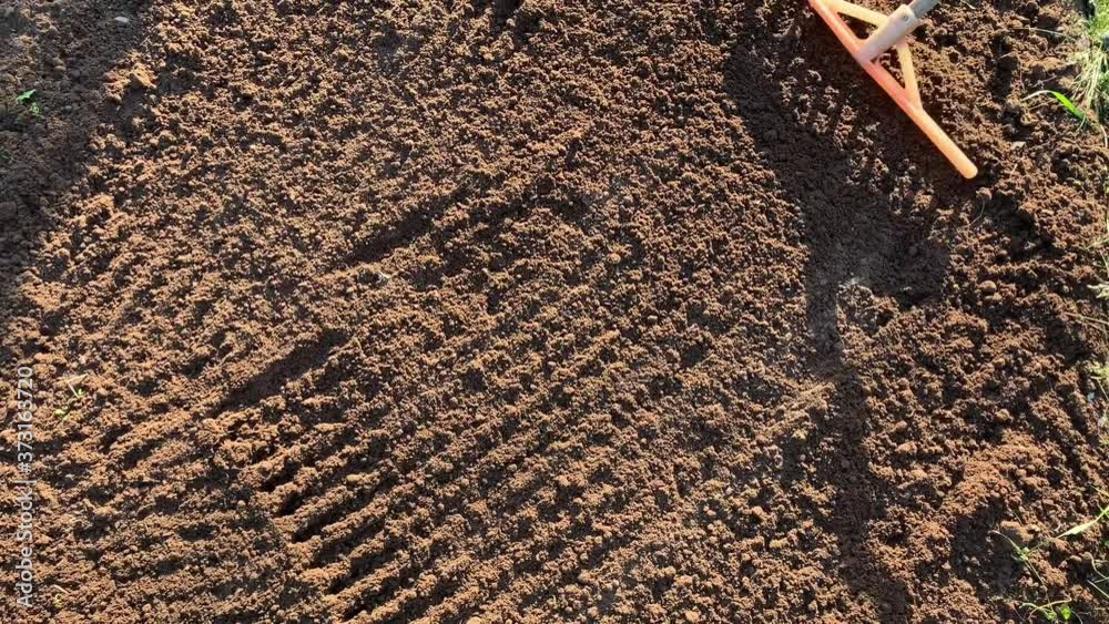 Gardener grading out soil with a rake. Unrecognizable person's hands ...