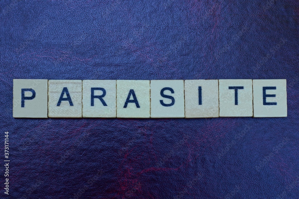 text the word parasite from gray wooden small letters with black font ...