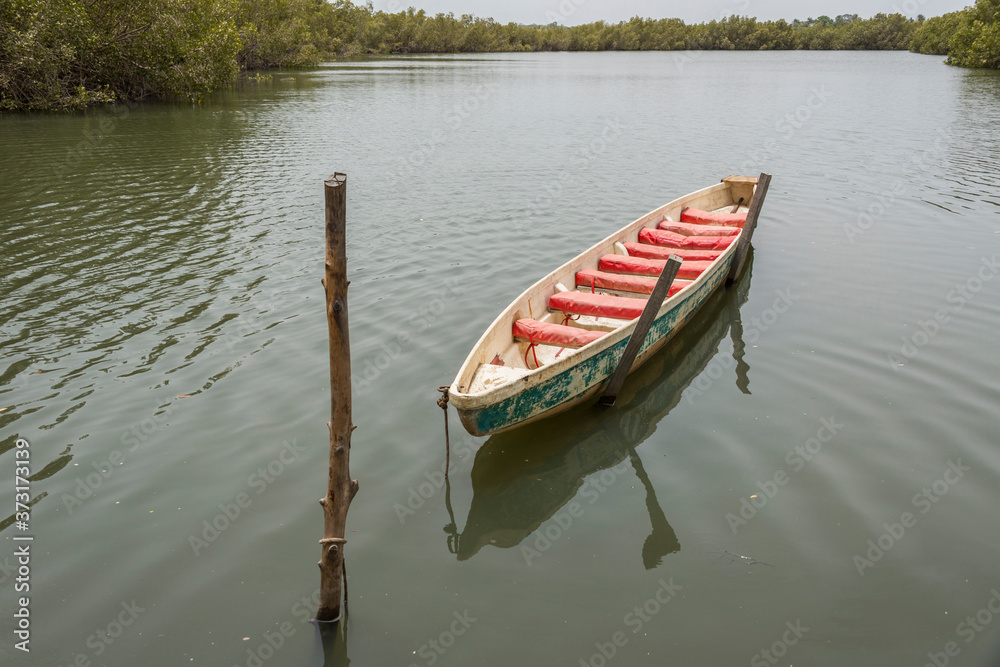 Canoa en el río Gambia a su paso por Makasutu foto de Stock | Adobe Stock