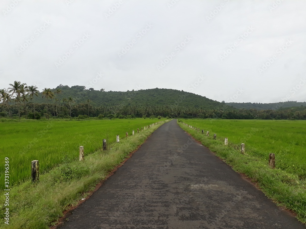 rural landscape with road, Indian road side view in goa, monsoon season ...