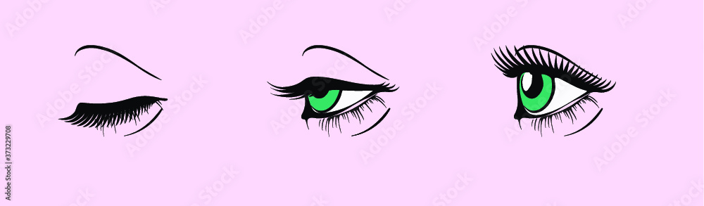 Set of Female Eye Blink vector image Stock Vector | Adobe Stock