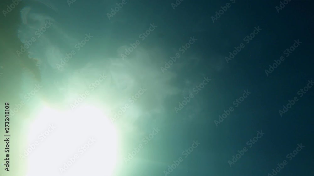 Man jumps into the water. Shooting from under water. Jumping into the ...