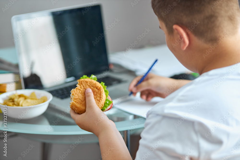 fat overweight boy eat junk food while doing homework, young caucasian ...