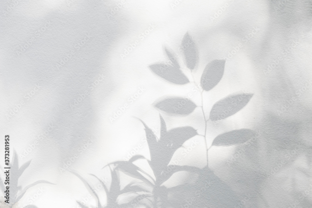Leaves shadow and light on wall background. Natural leaves tree branch ...