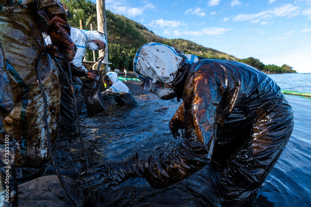 Volunteers clean the ocean coast from oil after a tanker wreck ...