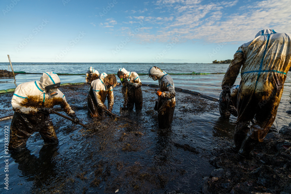 Volunteers clean the ocean coast from oil after a tanker wreck ...