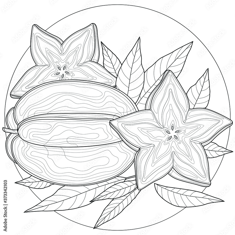 Carom fruit.Coloring book antistress for children and adults ...