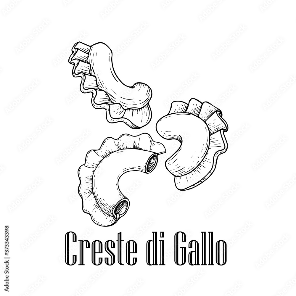 Italian pasta Creste di Gallo. Hand drawn sketch style illustration of ...