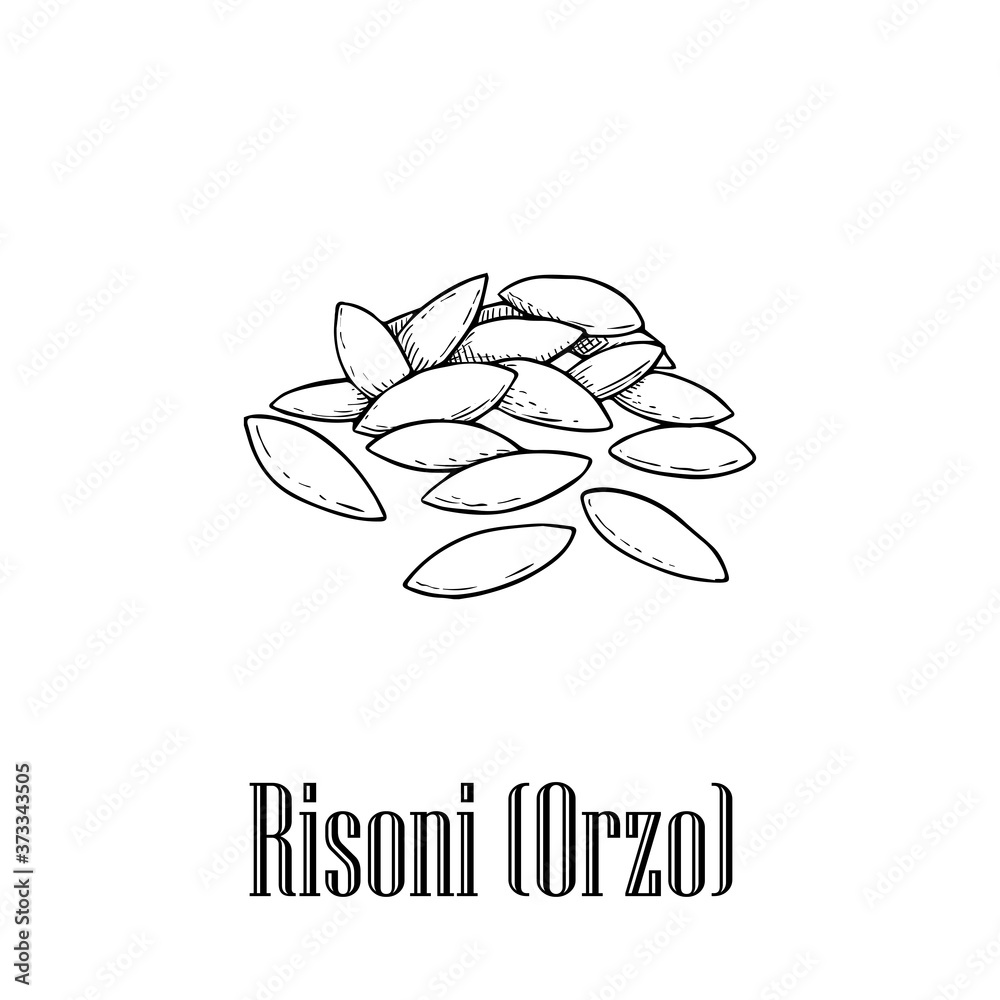 Italian pasta Risoni. Hand drawn sketch style illustration of ...
