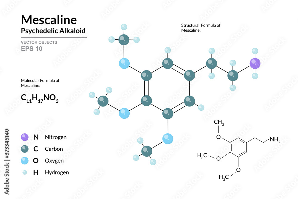 Mescaline. Naturally Occurring Psychedelic Protoalkaloid. Structural Chemical Formula and ...