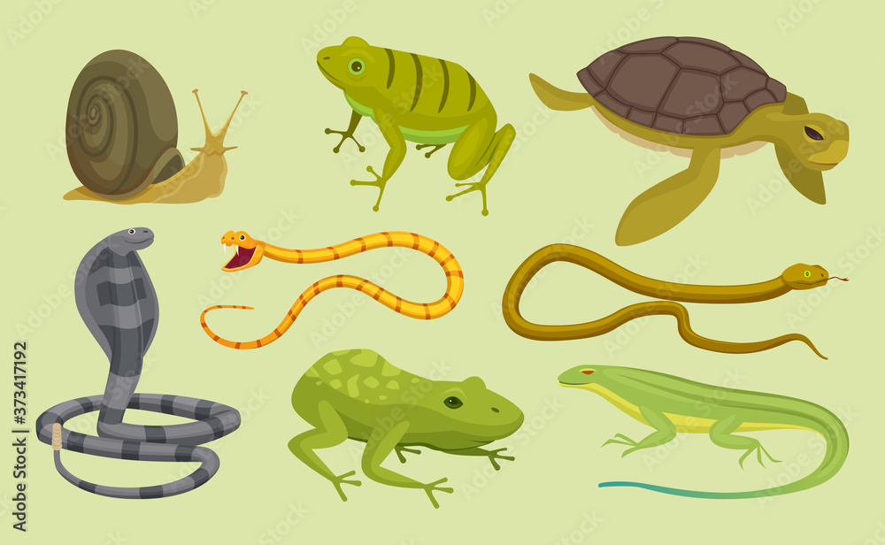 Reptiles set. Lizard snake turtles snail cartoon vector wild animals ...