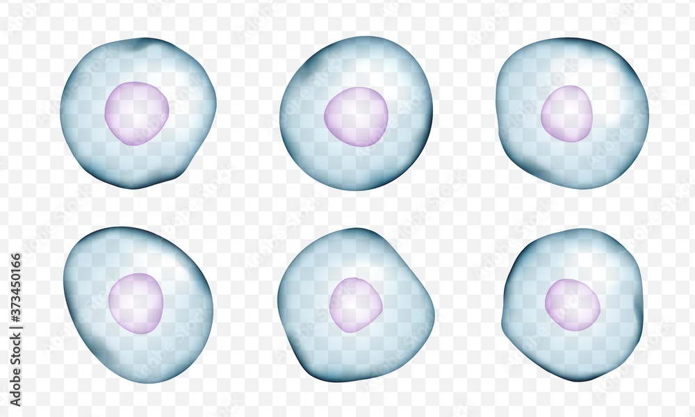 Realistic human cells set isolated on transparent background. 3d ...