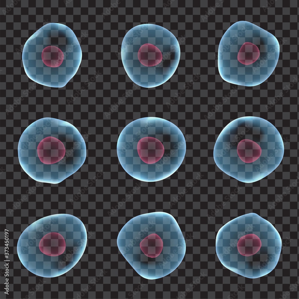 Realistic human cells set isolated on transparent background. 3d ...
