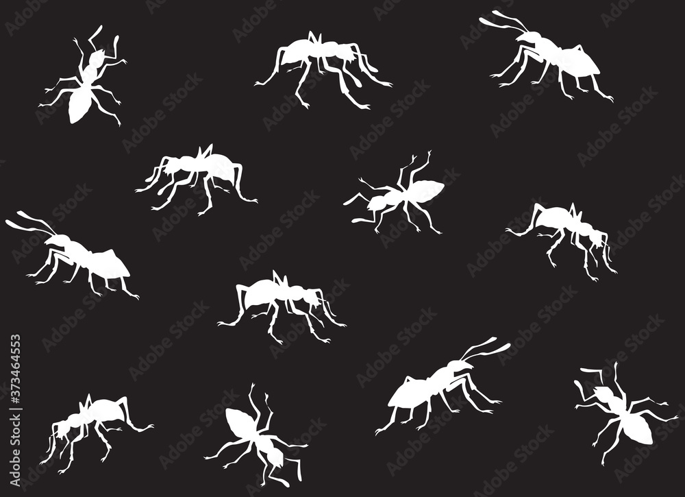 Ant. Vector drawing Stock Vector | Adobe Stock