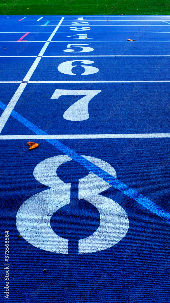 Blue Running Track with White Lane Numbers and Green Turf in Outdoor ...