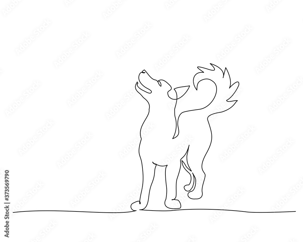 Continuous one line drawing. Walking dog. Vector illustration Stock ...