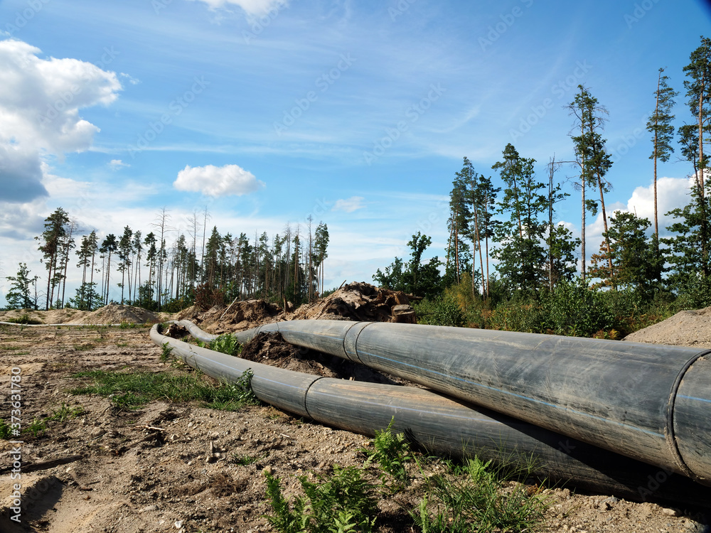Deforestation. The pipes were laid in place of the felled trees. Stock ...