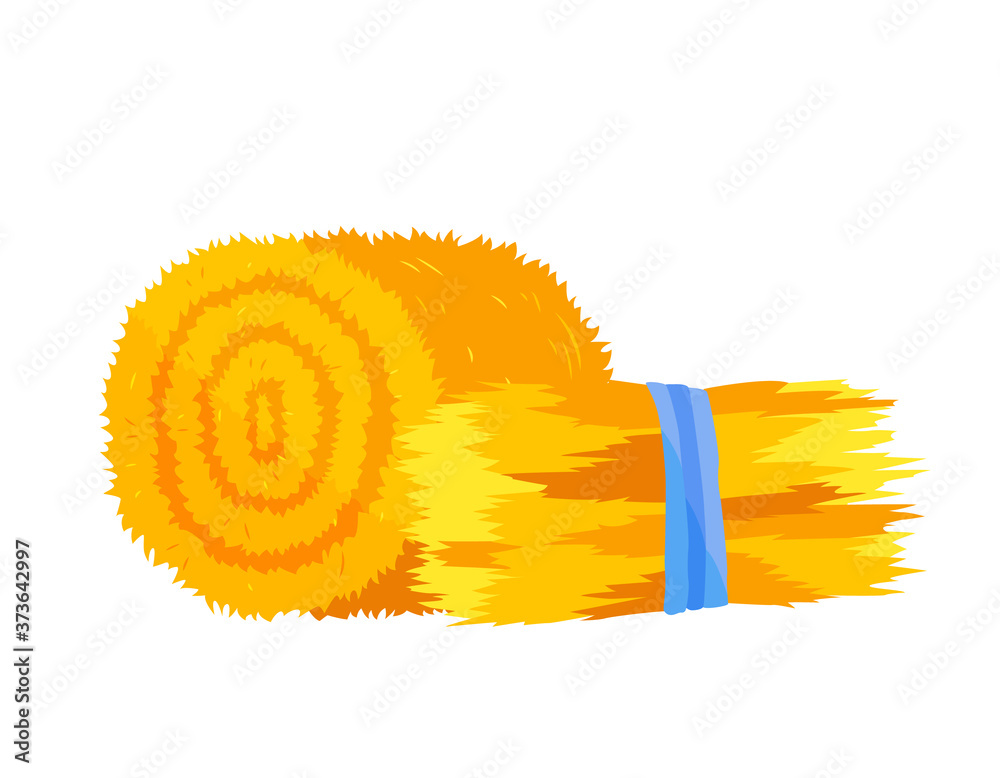 Roll of hay. Round hay bales. Flat dried haystack isolated on white ...