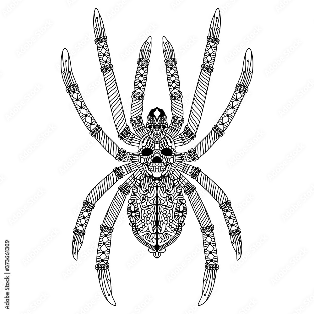 Hand drawn of spider in zentangle style Stock Vector | Adobe Stock