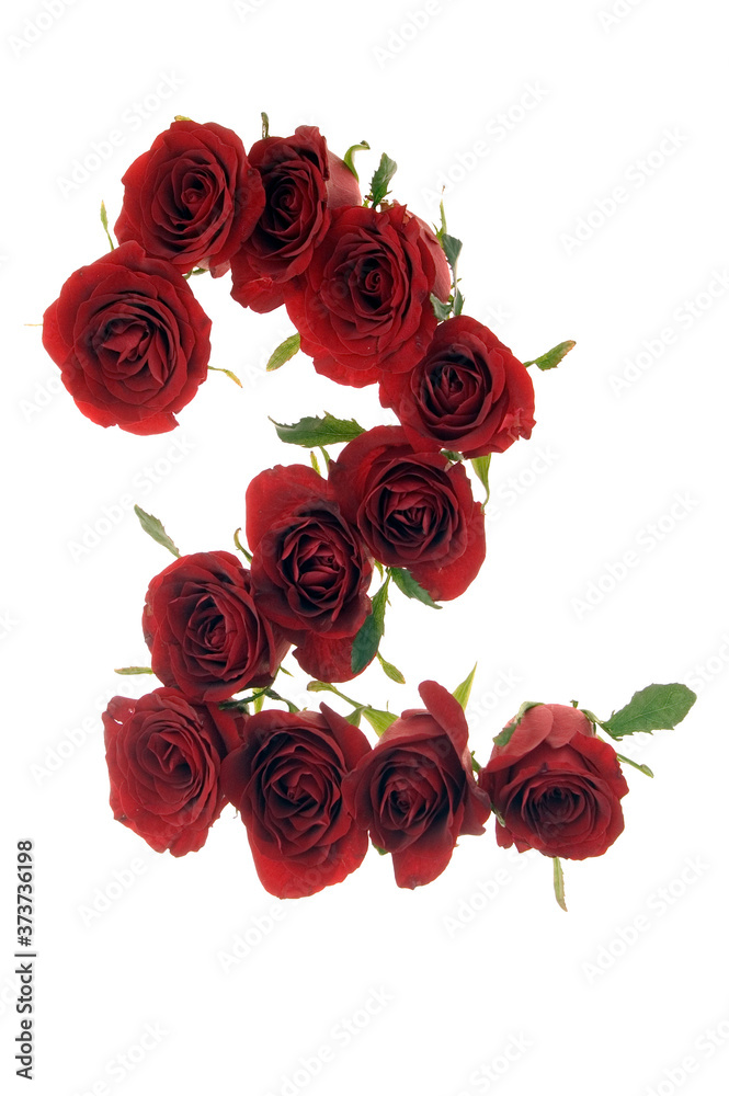 Alpha numeric individual characters, full set of numbers 0 to 9 created ...